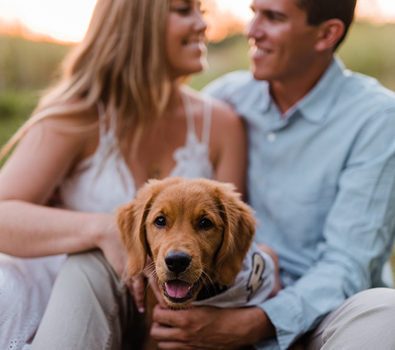 Rachel Giese Creative | Welcome